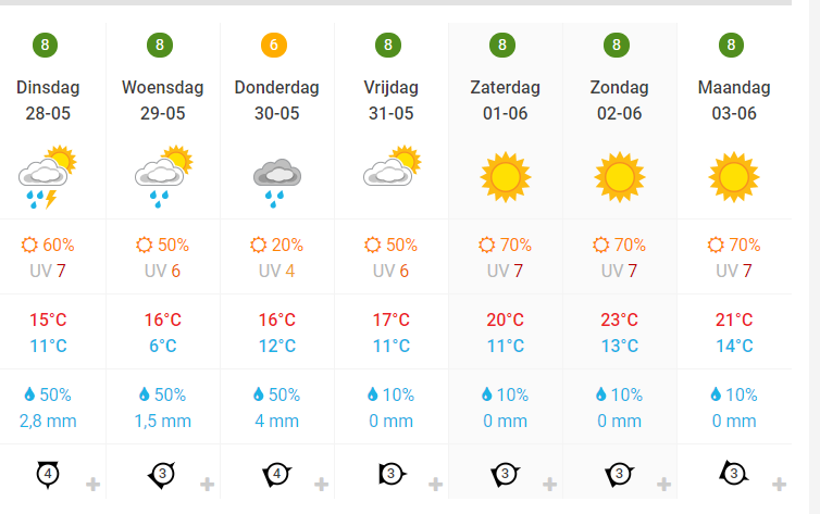 Zonnebril paraat! Het wordt zomers warm in Delft - indebuurt Delft