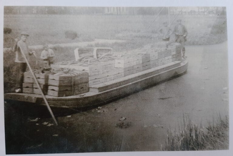 Wist je dit? Vroeger zat er een groenteveiling aan de Westvest ...