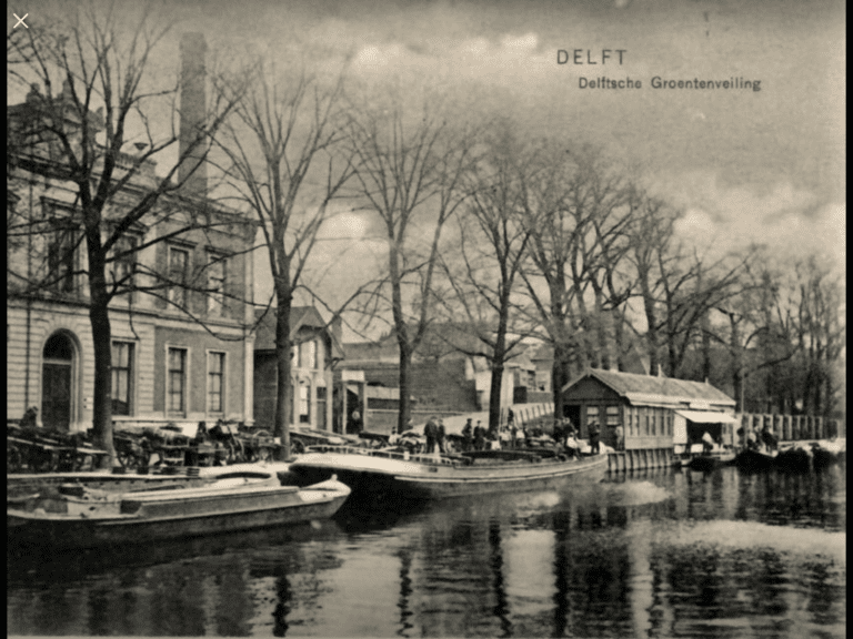 Wist je dit? Vroeger zat er een groenteveiling aan de Westvest ...