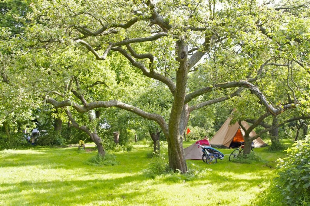 WAUS in the house Vintage & Brocante - indebuurt Delft