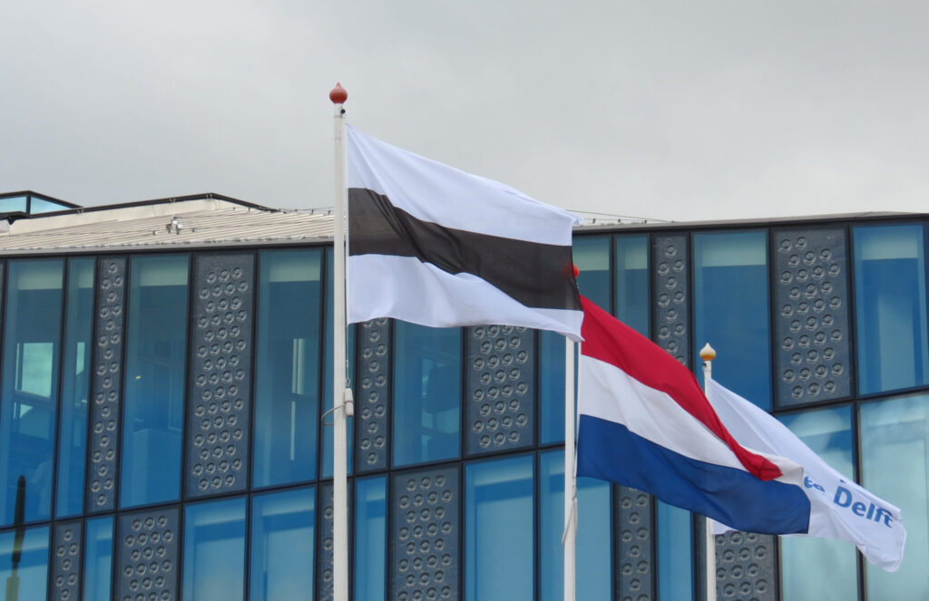 Leuk om te weten: dit betekenen de vlag en het stadswapen van Delft ...