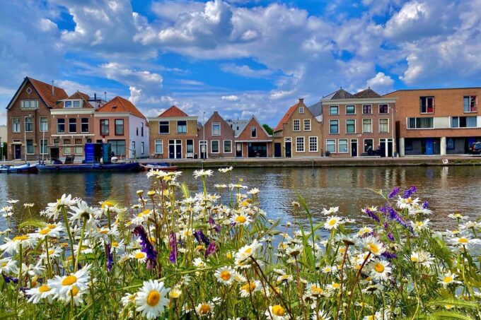 Bewolkt of zonnig: dit is de weersverwachting van mei in Delft ...