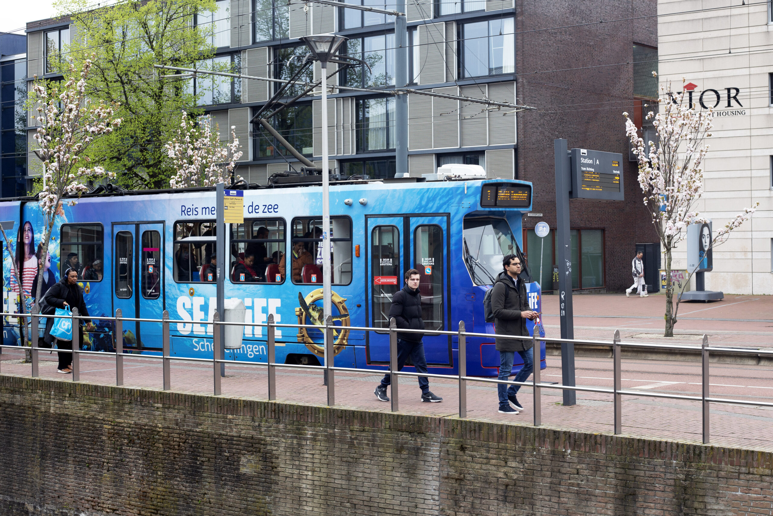 Oef! Begin volgend jaar even geen ritjes met de tram in Delft ...