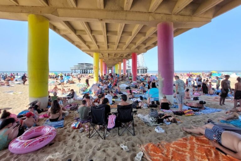 Dagje strand vanuit Delft? Zo zie je thuis al hoe druk het is ...