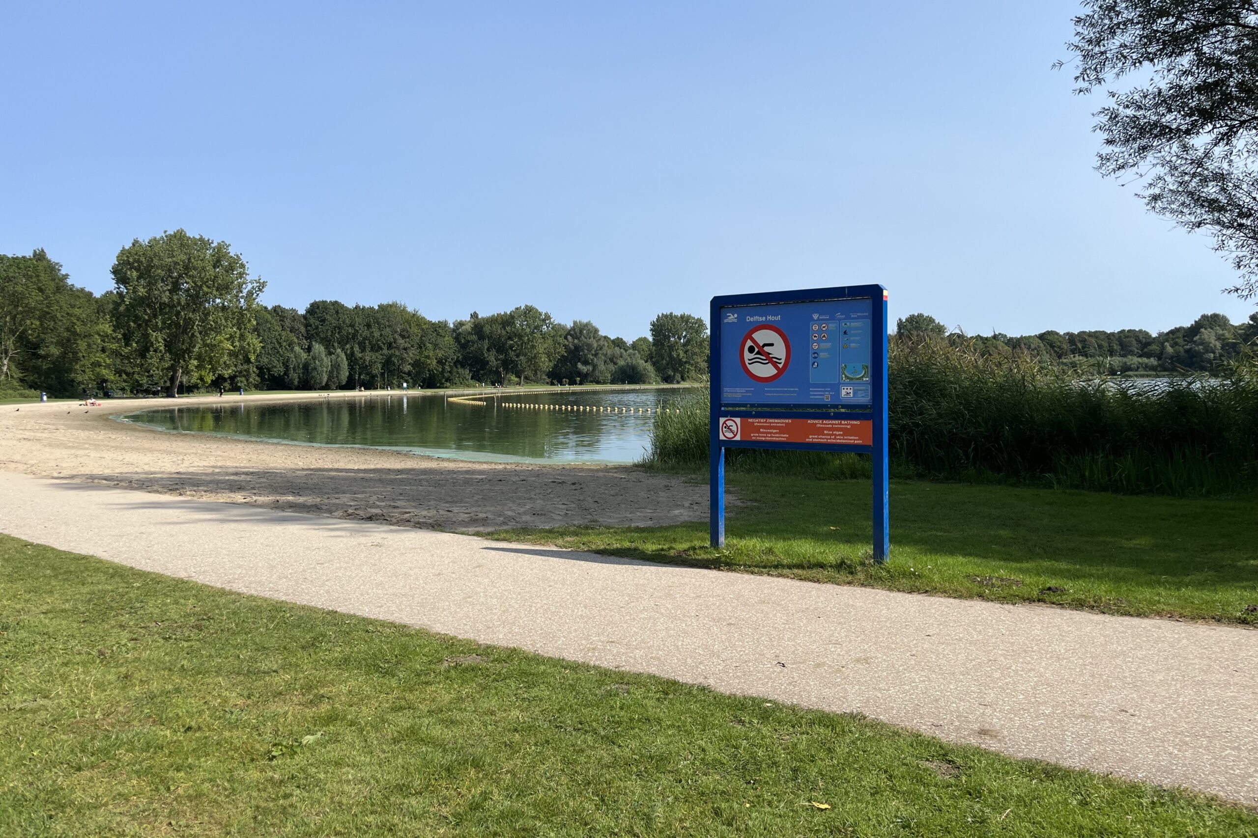 Plonzen in de Delftse Hout: dit is het zwemadvies - indebuurt Delft