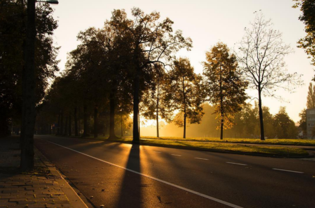 7 x jullie meest perfecte plaatjes geschoten in Den Bosch - indebuurt ...