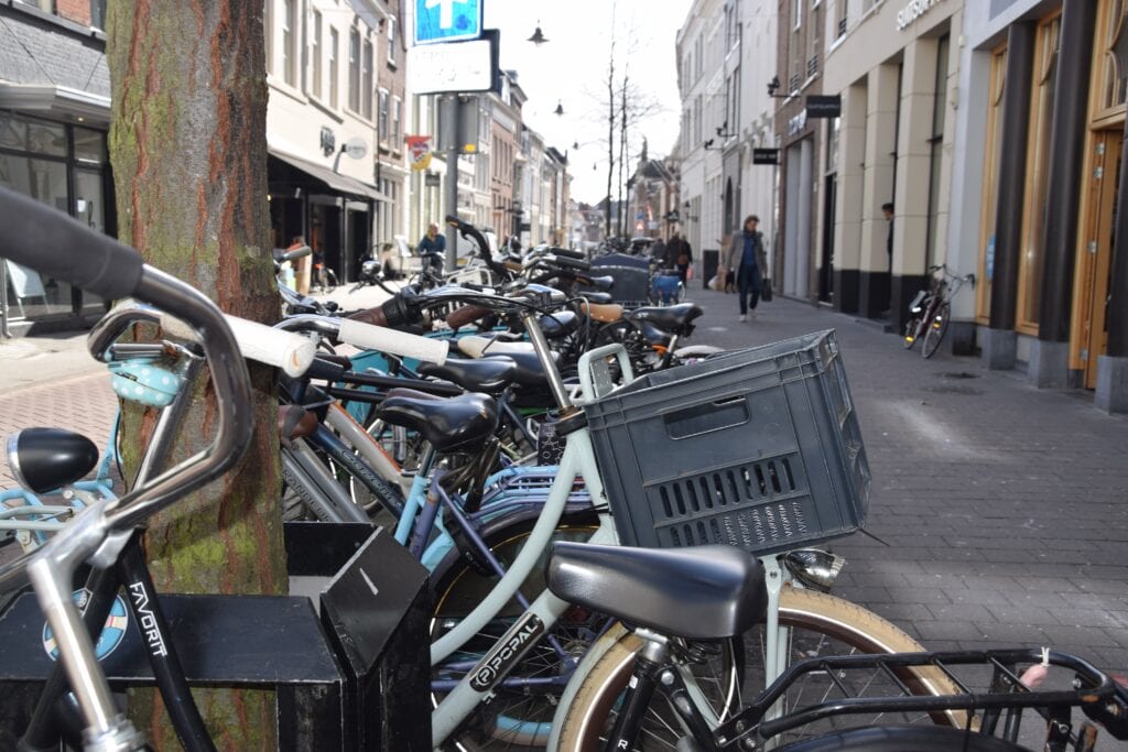 Bevolkingsgroei in Den Bosch: zoveel mensen komen er in onze stad bij