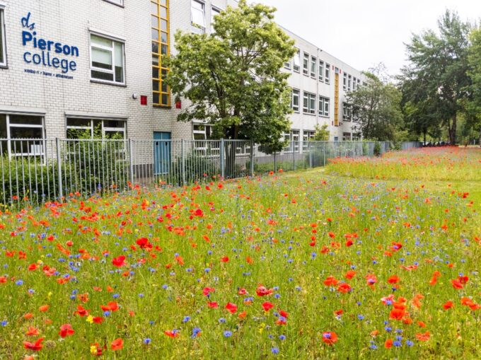 Ds. Pierson College houdt een reünie vanwege het 100-jarig bestaan