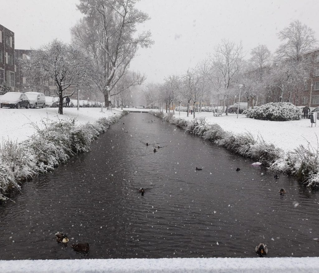 Prachtige foto's van de sneeuw in Den Haag - indebuurt Den Haag