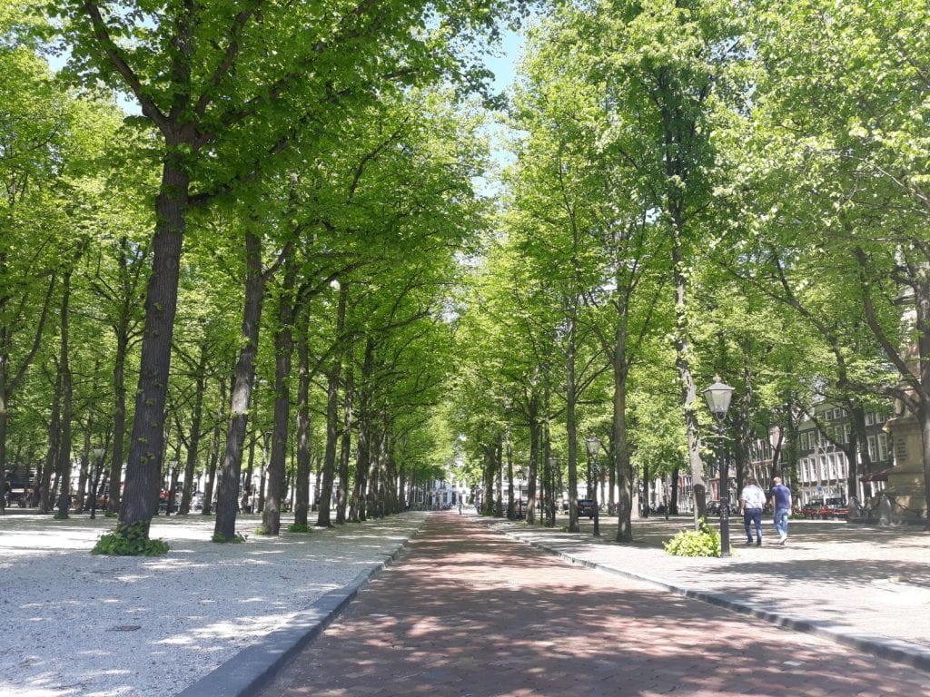 Daarom heet deze laan het Lange Voorhout (incl. een korte geschiedenis) - indebuurt Den Haag