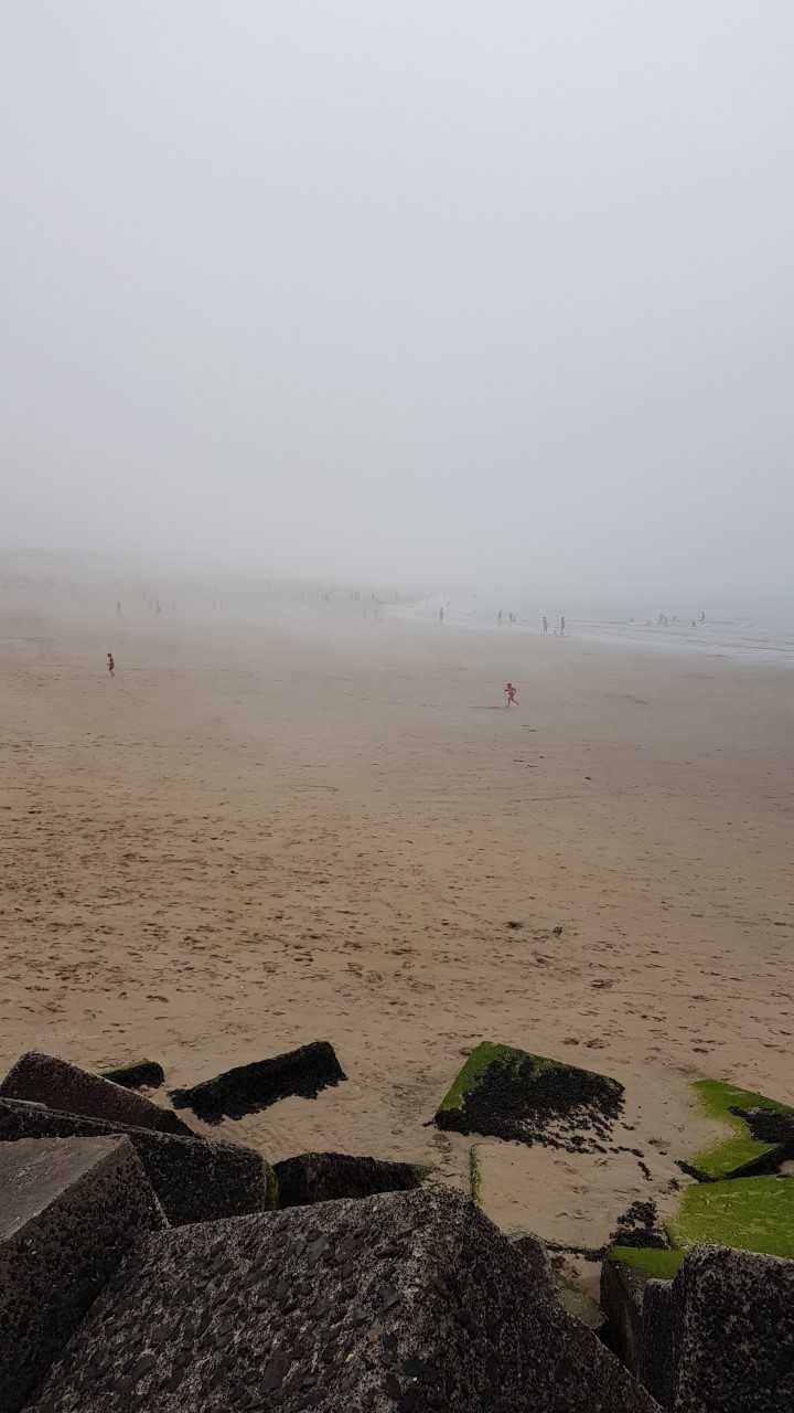 Waarom verpest de zeevlam elke keer die zonnige stranddagen ...
