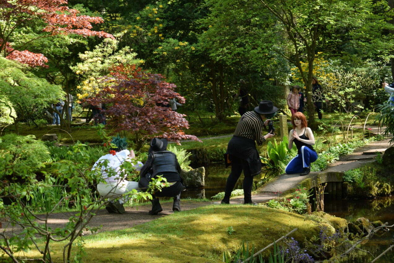 Deze Japanse Tuin is dé plek voor een mooie profielfoto - indebuurt Den ...