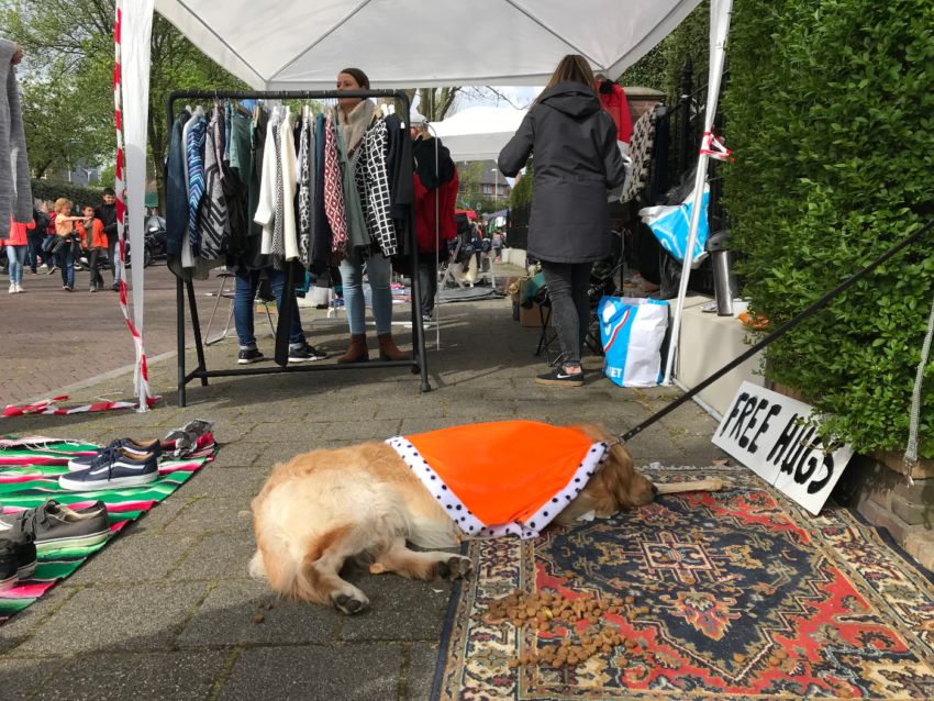 Fotoserie: Bekijk hier de opvallendste aanbiedingen op de Koningsdag ...