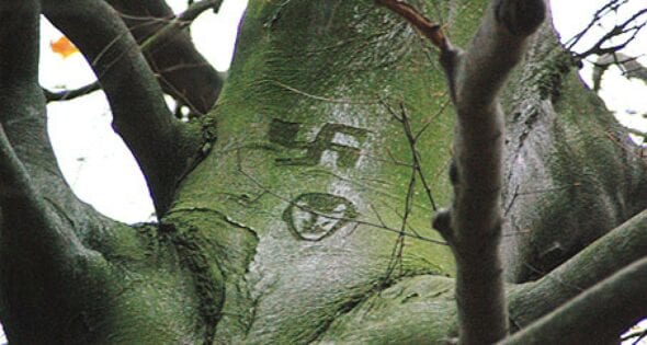 Bizar! In Den Haag staat een boom met het portret van Hitler ...