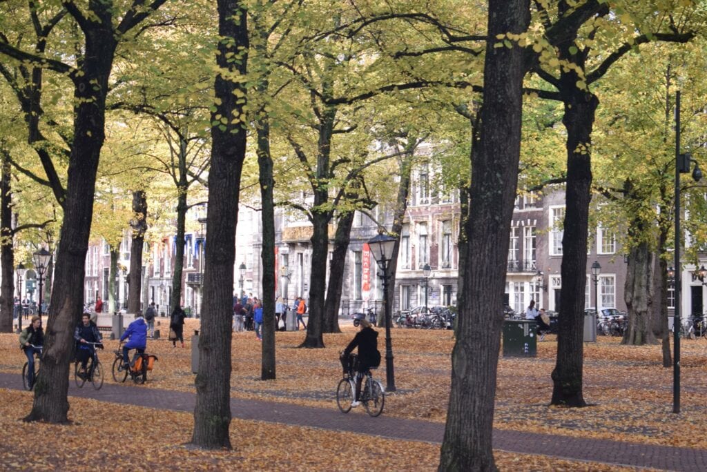 Uittip: aan het Lange Voorhout is binnenkort een markt vol zeldzame spulletjes - indebuurt Den Haag