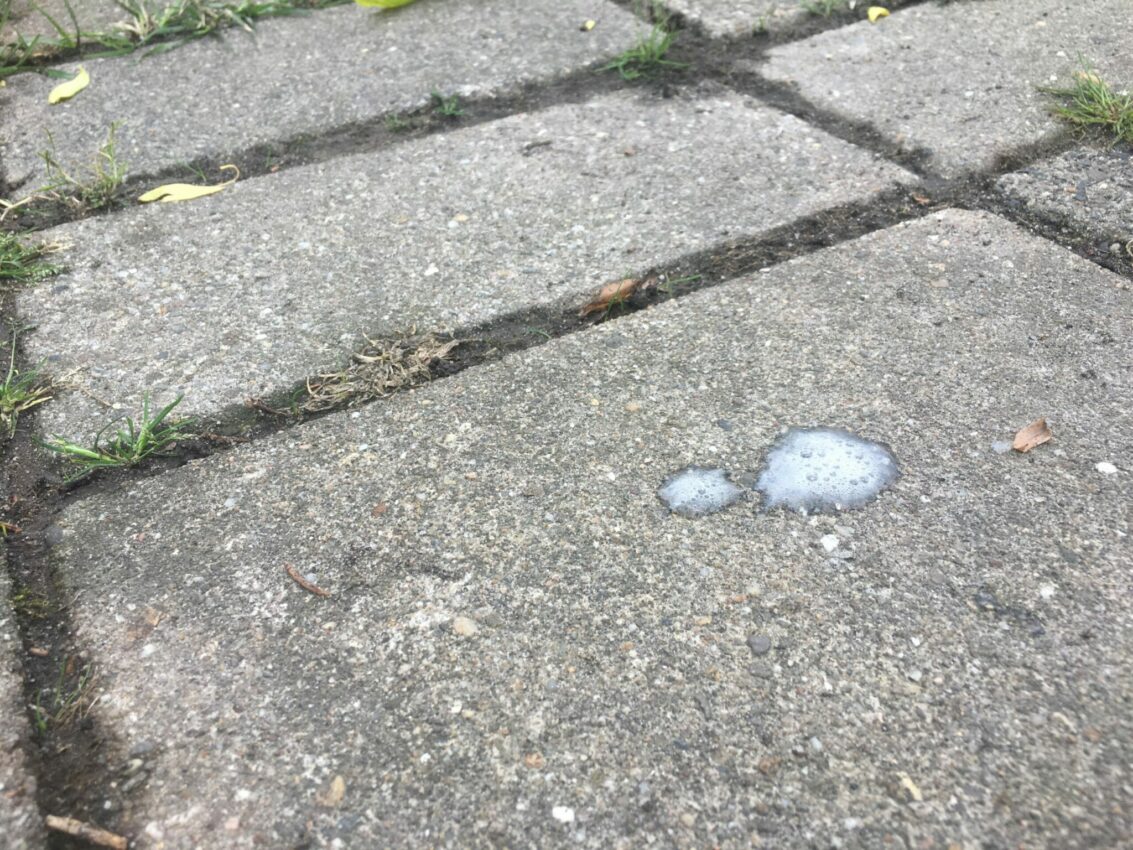 Mag dat in Den Haag: op straat spugen - indebuurt Den Haag