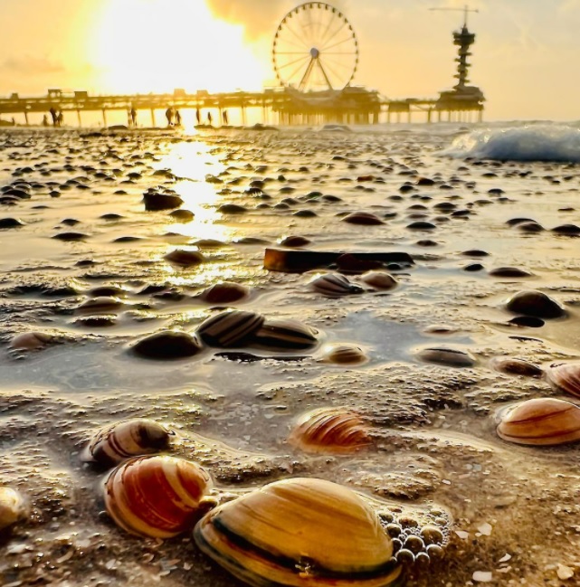Fotoserie: Scheveningen in de dagen na de storm - indebuurt Den Haag