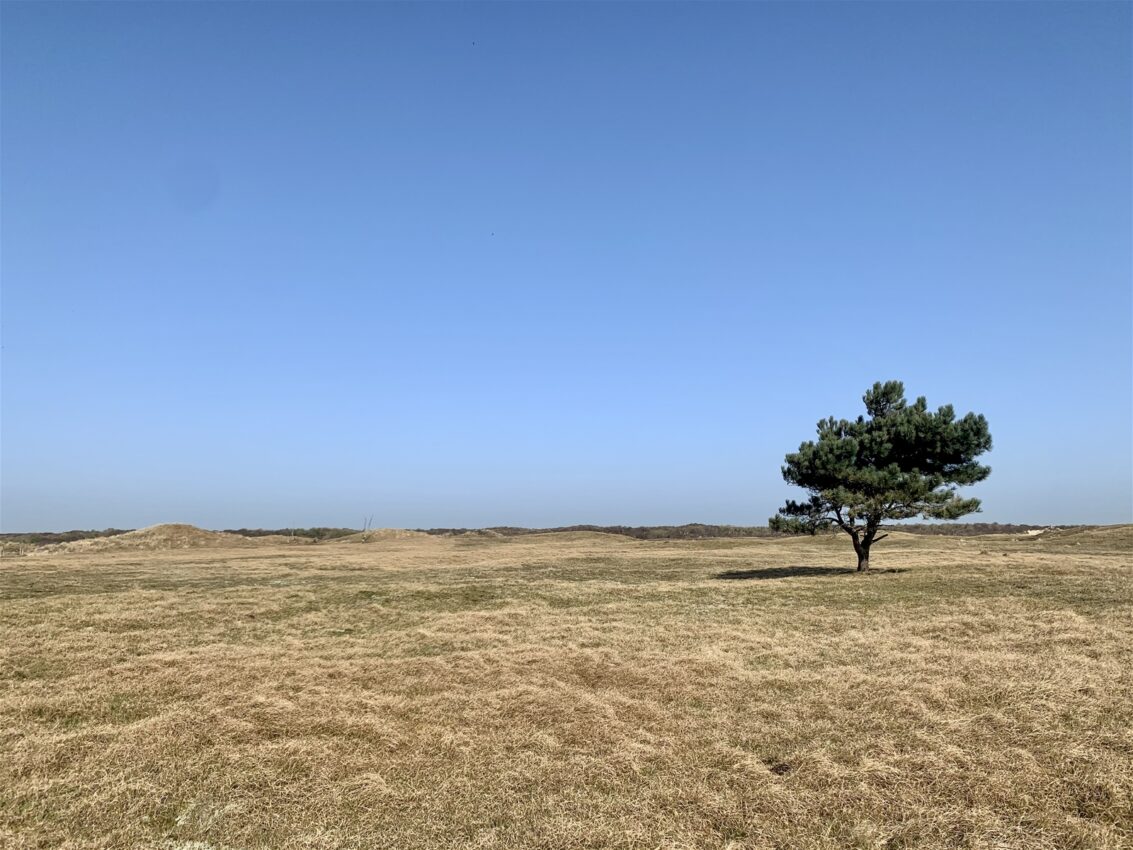 Wat een rust! Dit zijn officiële stiltegebieden in Den Haag - indebuurt ...