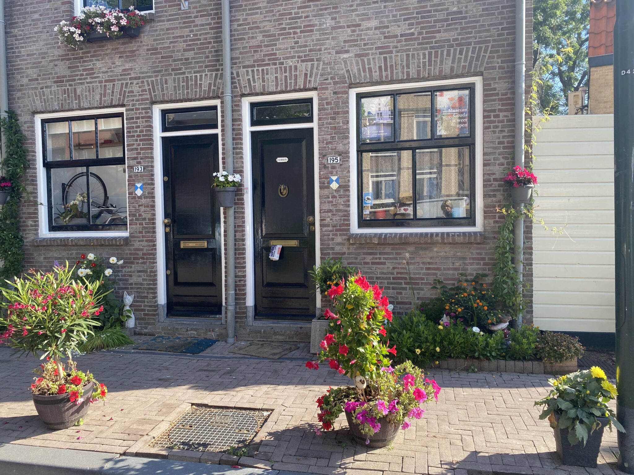 Tips, voorwaarden en meer: alles wat je wil weten over een geveltuin in Den Haag - indebuurt Den ...