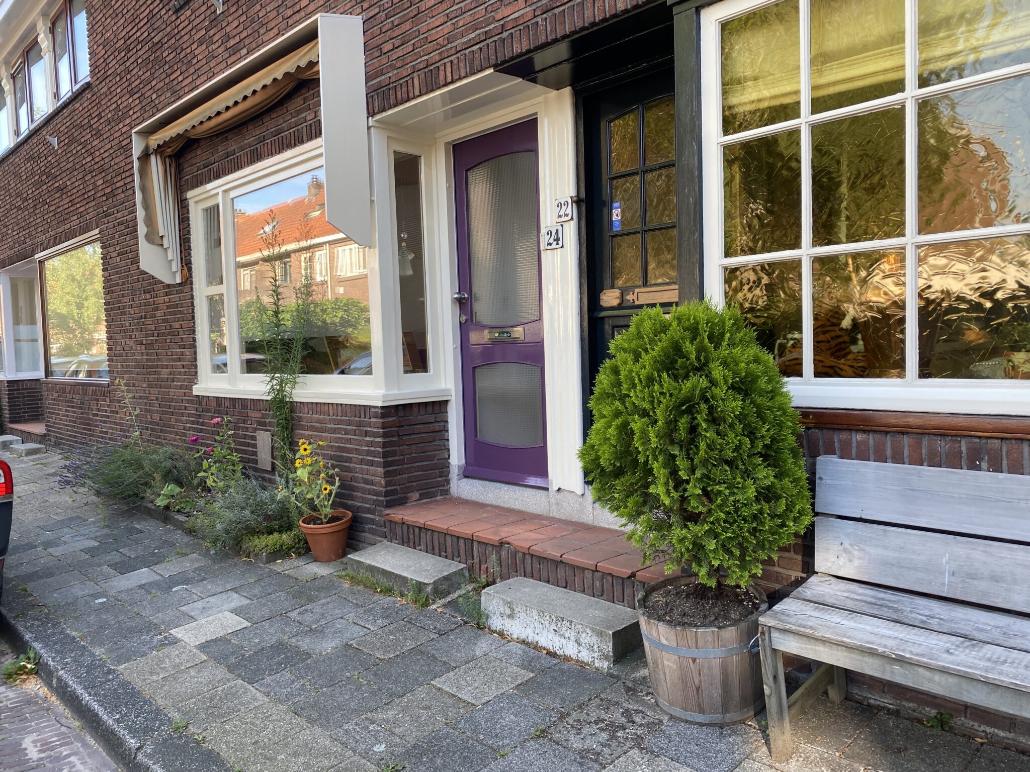 Tips, voorwaarden en meer: alles wat je wil weten over een geveltuin in Den Haag - indebuurt Den ...