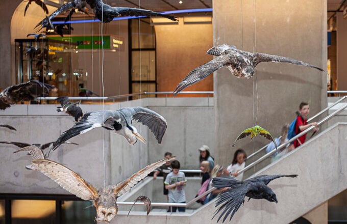 Museon-Omniversum - indebuurt Den Haag