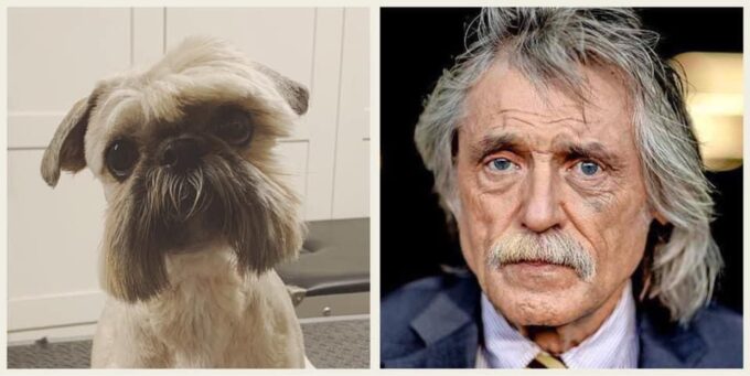 Van acteren naar scheren: de Haagse Pieternel is actrice en ...