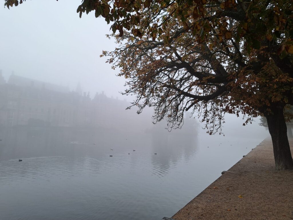 Foto's: Den Haag in de mist - indebuurt Den Haag