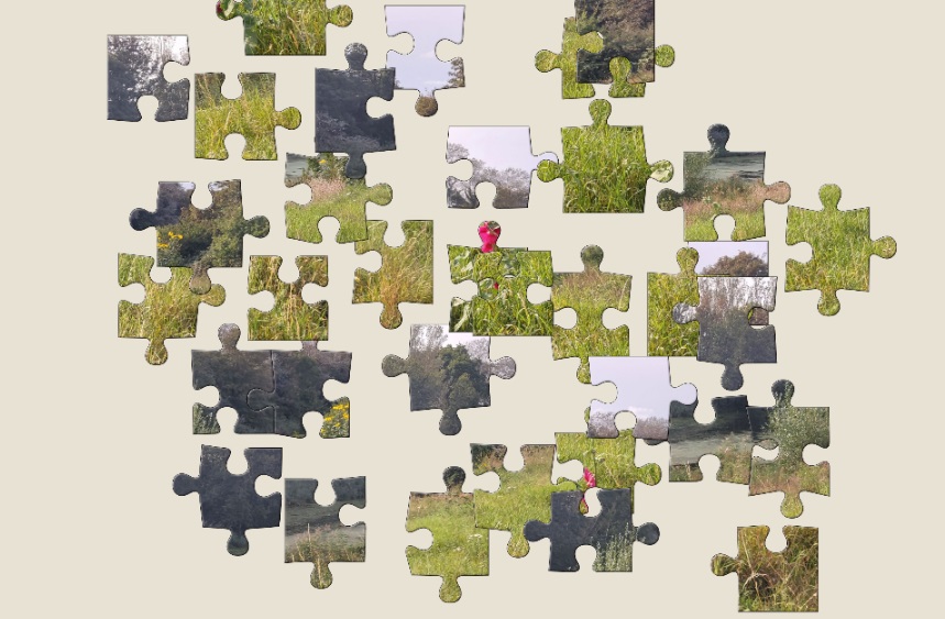 Puzzelen maar! Hoe snel kun jij deze Haagse legpuzzel maken ...
