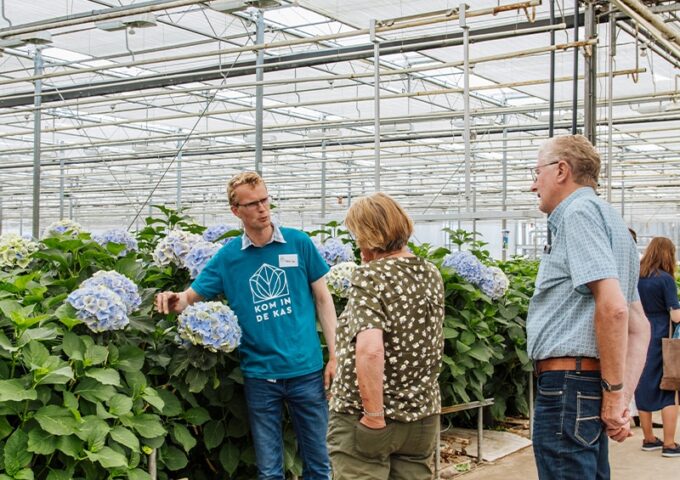 Frozen de musical op Scheveningen: parkeren, bereikbaarheid, tickets en ...