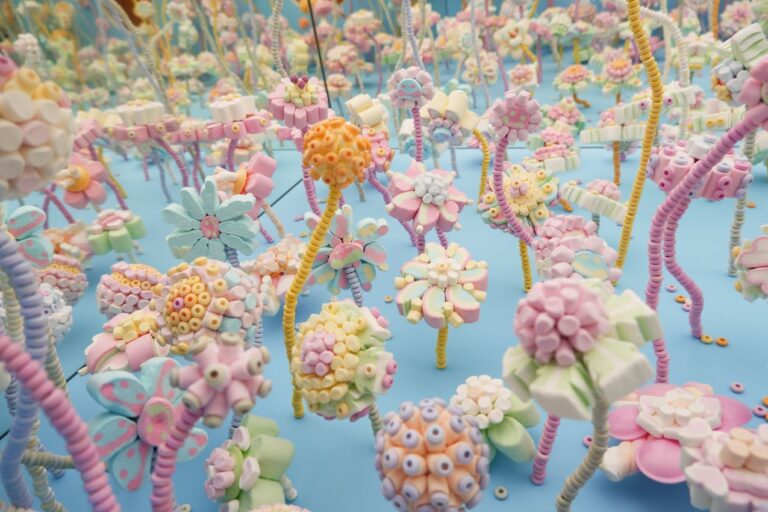 Kijk! Simone heeft een huis van snoep en je mag op visite komen ...