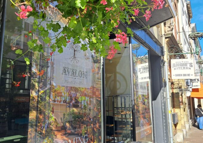 Alles over CPC 2024: parcours, starttijden en omleidingen - indebuurt ...