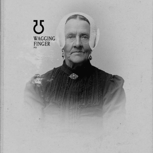 Wagging Finger - indebuurt Deventer