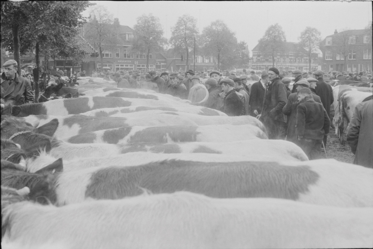 Grappig! Zo zag de Beestenmarkt eruit toen daar nog echt beesten waren ...