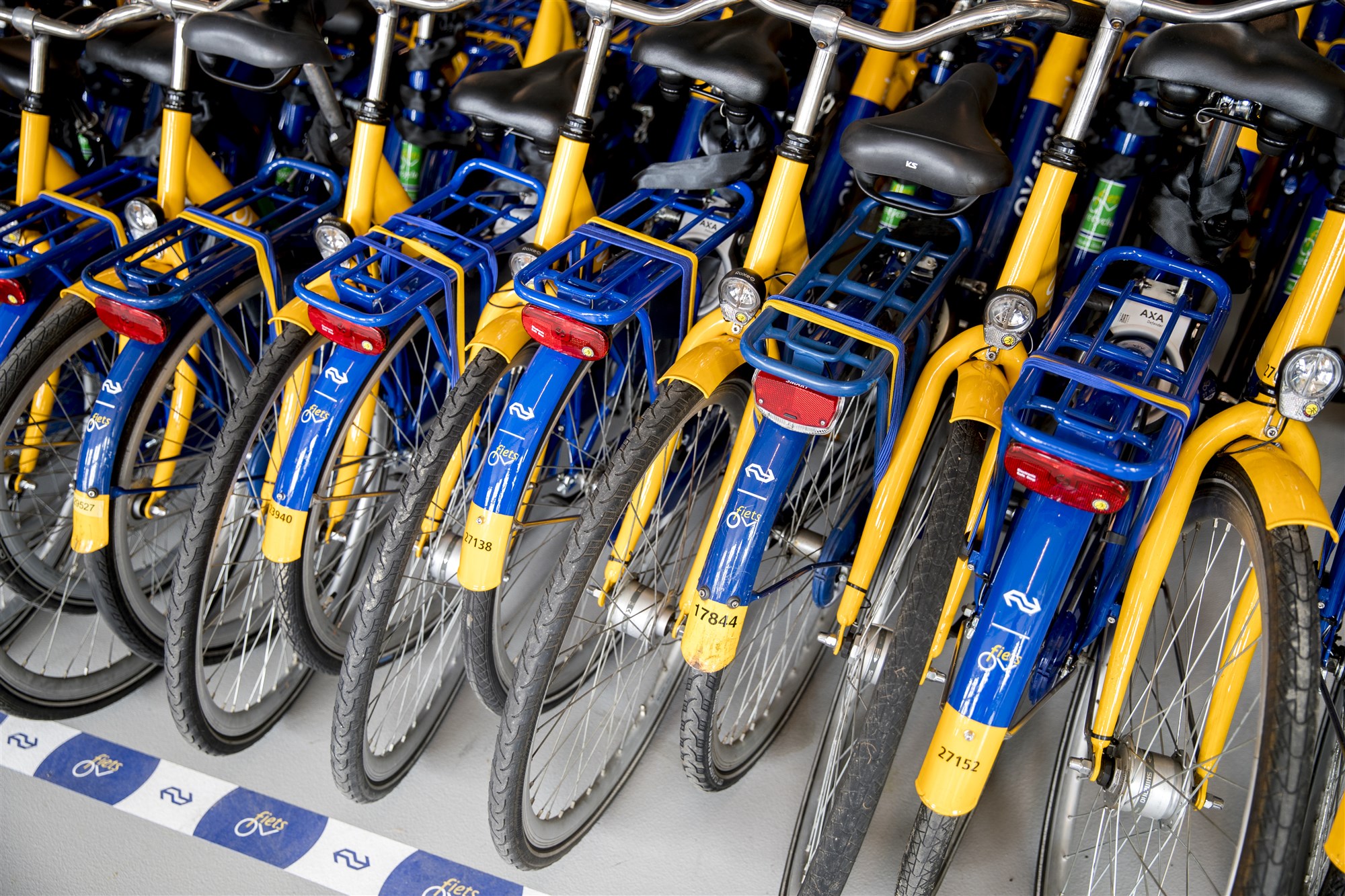 Hilarisch: 5x Deventer scheldwoorden - indebuurt Deventer