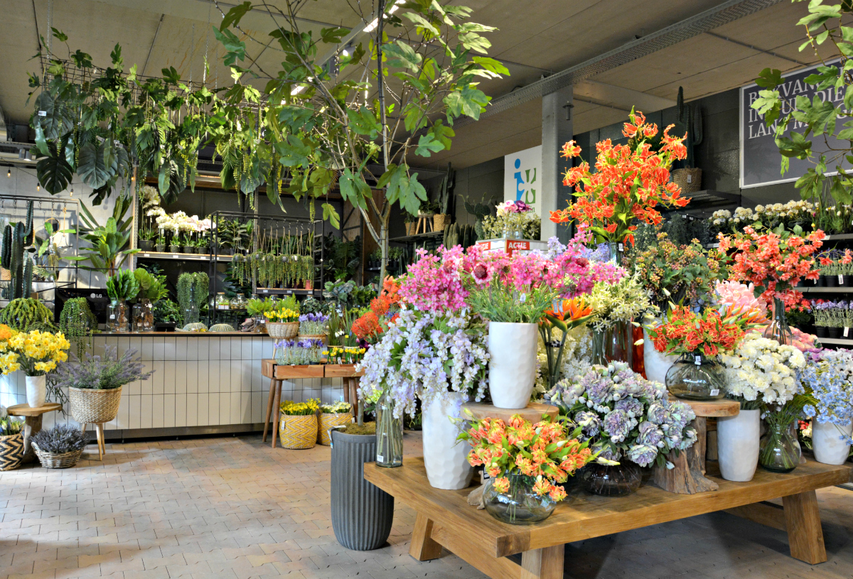 [video] Binnenkijken: stap in de wondere wereld die Intratuin heet ...