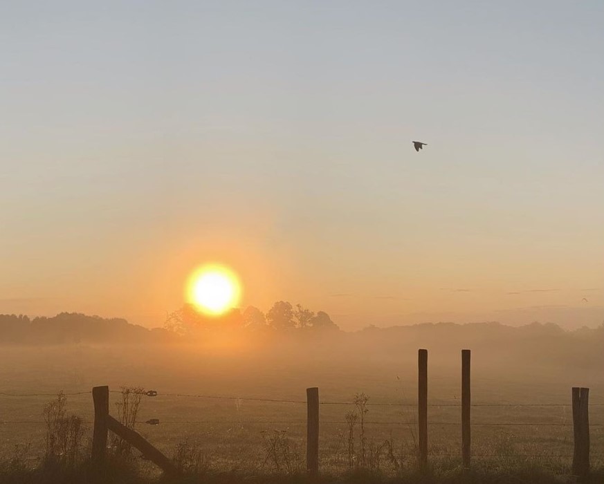 Wazige plaatjes: deze foto’s maakten jullie van Deventer in de mist ...