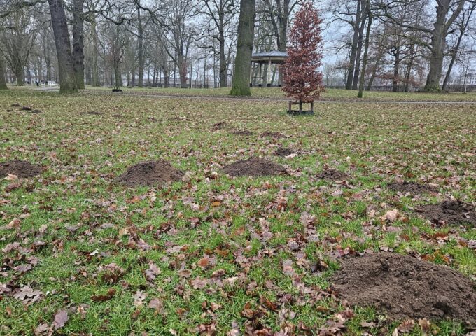 Bij de voordeur: Jan Reichenbach. - indebuurt Deventer