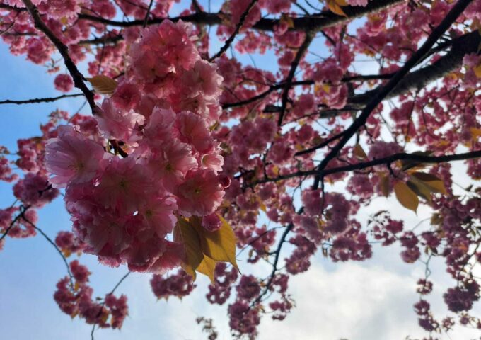 Bij de voordeur: Jan Reichenbach. - indebuurt Deventer