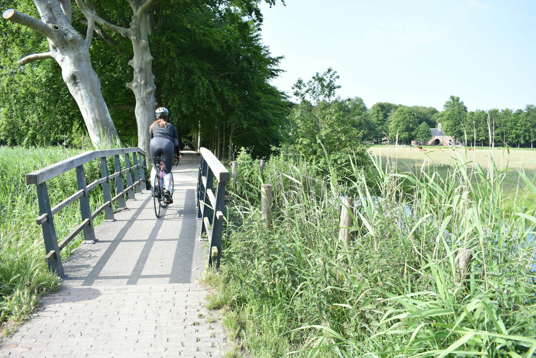 Deze mooie fietsroute start vanuit Deventer