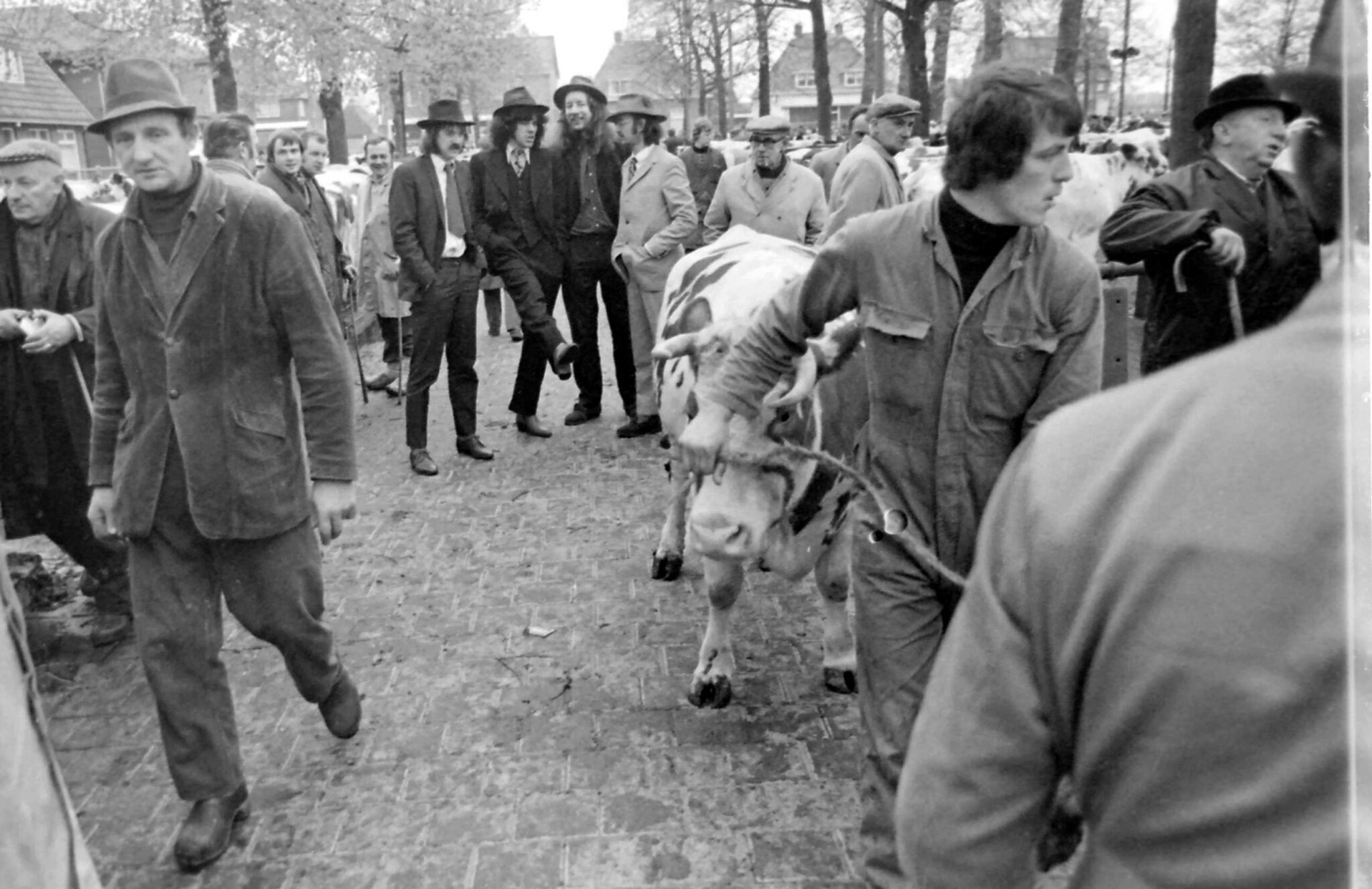 De beginjaren van Normaal: 9 x foto's van de Achterhoekse band