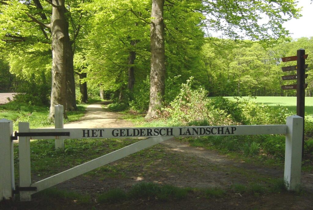 Boswachters organiseren nazomerse wandeling over landgoed Hagen: loop je mee?