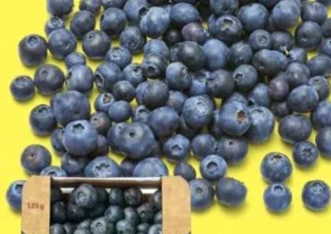 Duo Kaye en Jesse lanceren eigen kledinglijn: 'Dit is draagbare kunst'