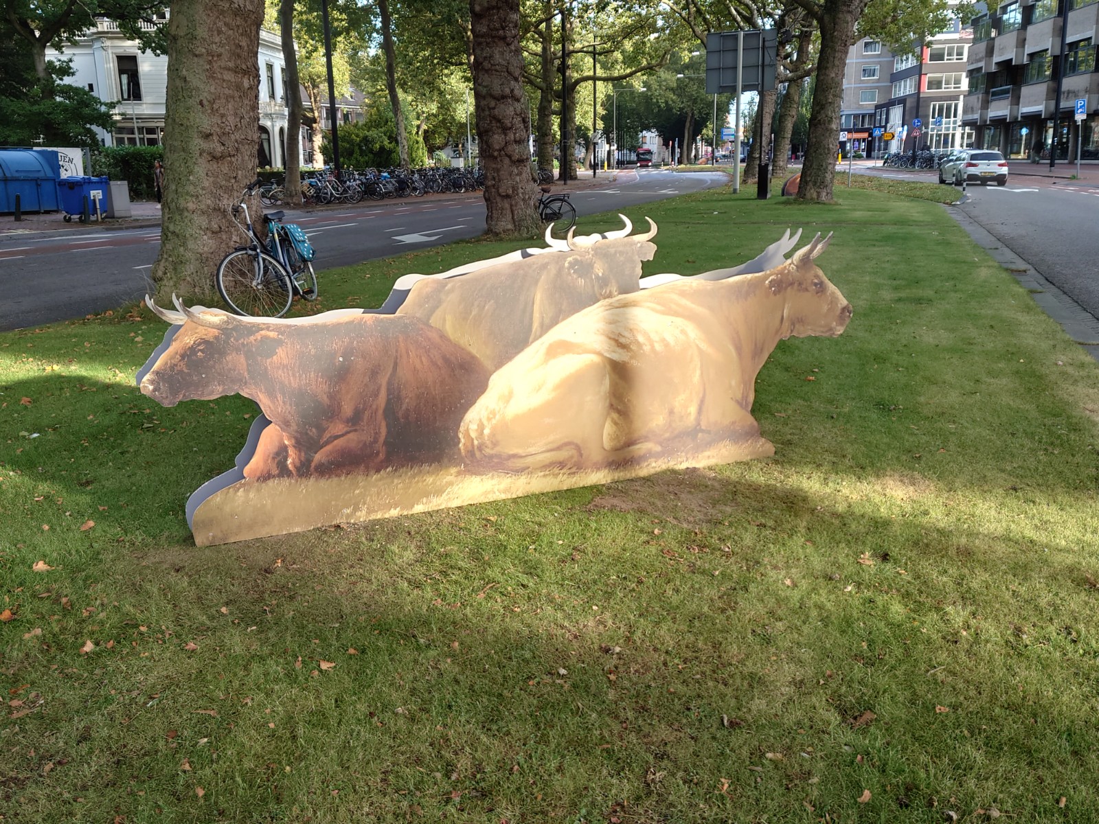 Zoekplaatje! Zie jij waar we deze koe hebben gespot? - indebuurt Dordrecht