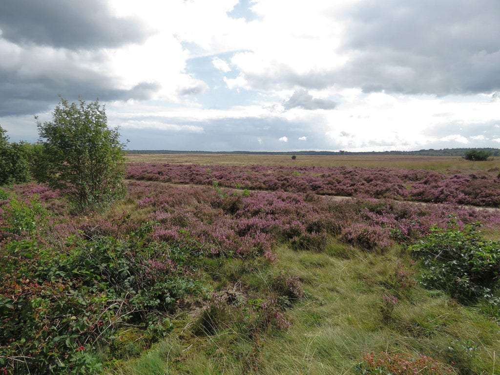 Dit zijn de allerleukste plekken in Ede (volgens Arno) - indebuurt Ede