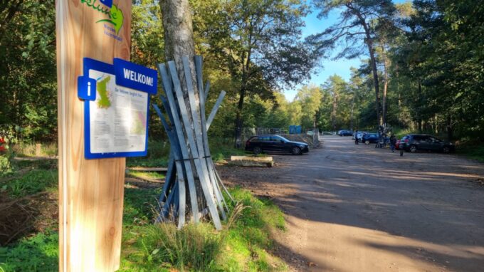 Mysterie opgelost: daarom zijn de bomen aan de Nieuwe Kazernelaan ...