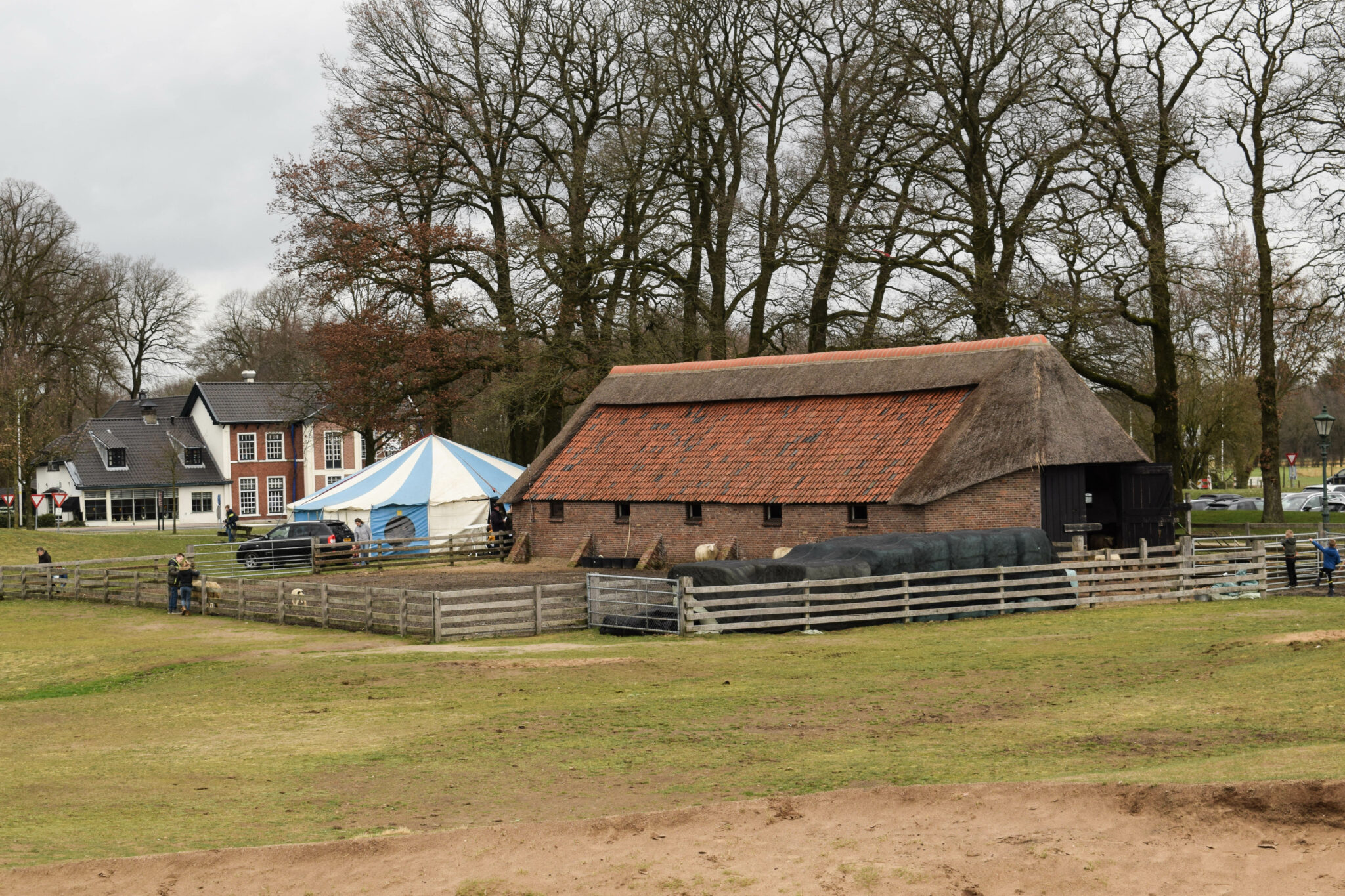 Schaapskooi en heide-37 - indebuurt Ede