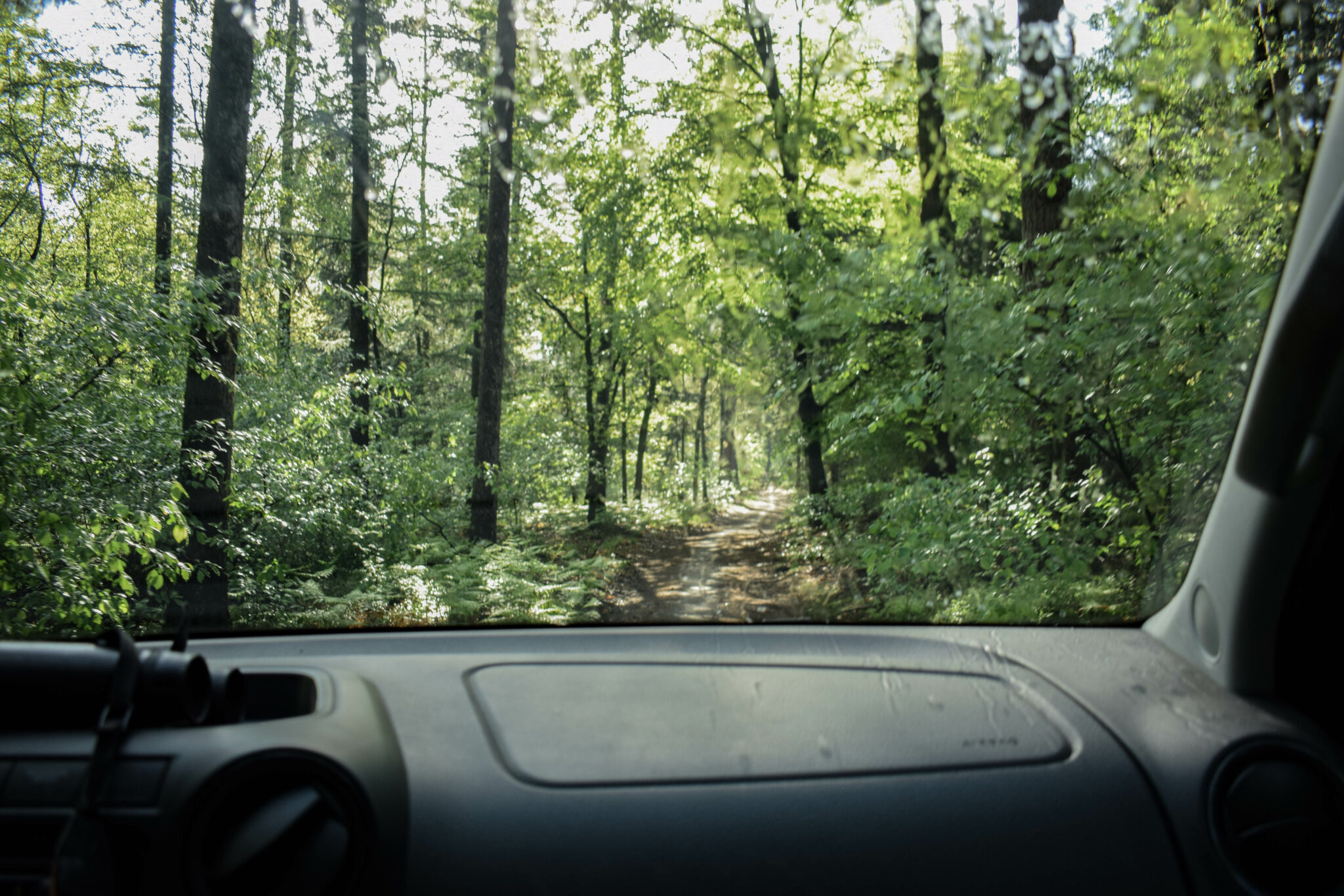 De werkdag van Victor: flora- en faunabeheerder gemeente Ede ...
