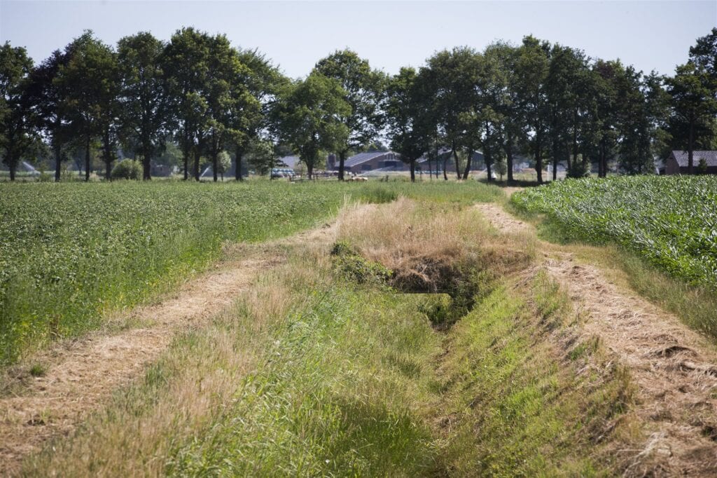 Dit is waarom in en om de sloten bijna niet gemaaid wordt - indebuurt Ede
