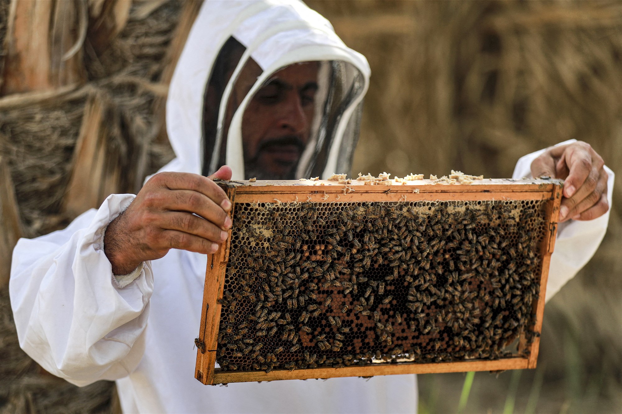 Bezoek deze Edese imker tijdens de Landelijke Open Imkerijdagen 2023