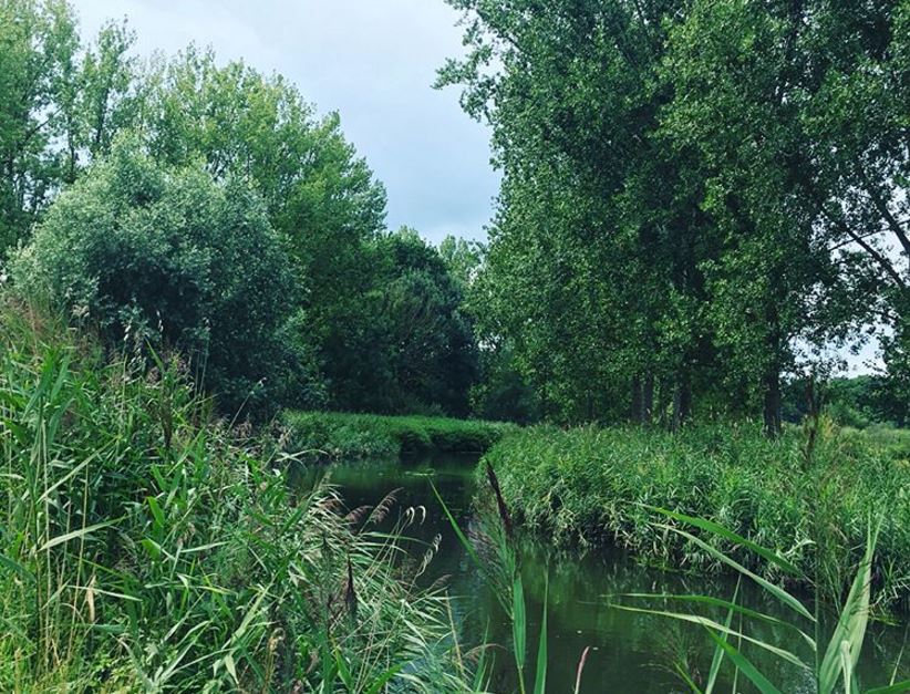 Leuk volgens local Simon: 'De mooiste plekjes vind je langs de Dommel ...